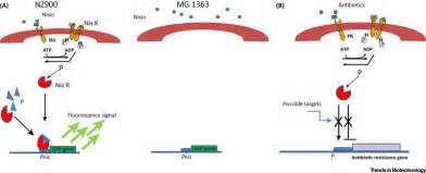 Effector Molecules And Regulatory Proteins Applications Trends In