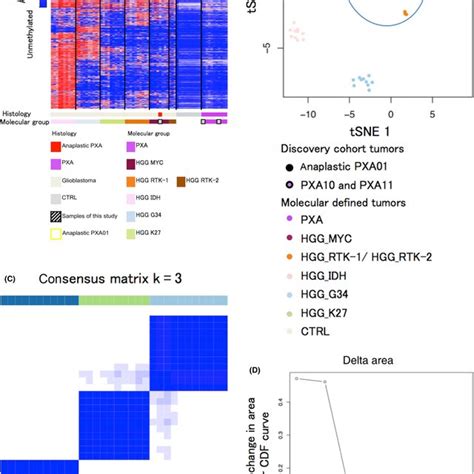 Genome‐wide Methylation Analysis A Unsupervised Hierarchical