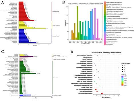 A Gene Ontology Go Classification Of Degs Red Yellow Blue Terms