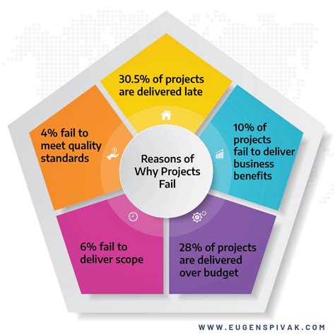 reasons why projects fail eugen spivak