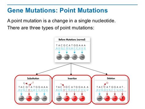 how does mutation affect dna replication socratic