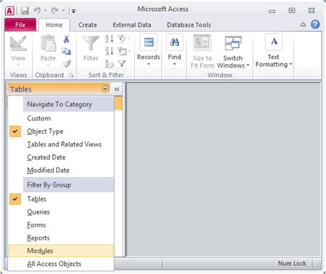 ms access 2010 display modules in the navigation pane
