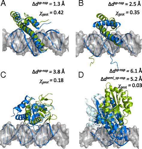 Frustration In Protein Dna Binding Influences Conformational Switching