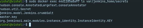 docker initialadminpassword file not present inside var jenkins home
