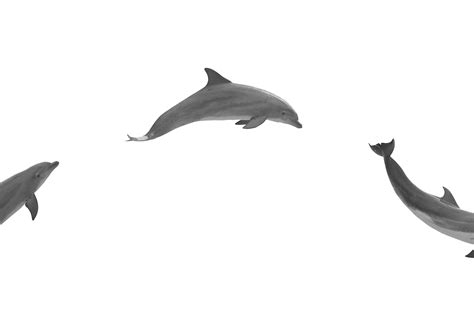 troubleshooting mysql performance issues with solarwinds