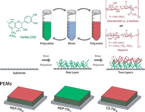 Schematic Representation For The Pem Construction And Chemical