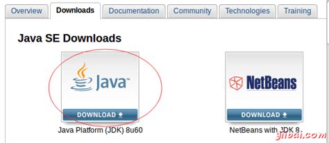 安装java环境 linux cnetsa 博客园