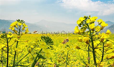 curl error 7 couldnt connect to host see curl haxx se libcurl c