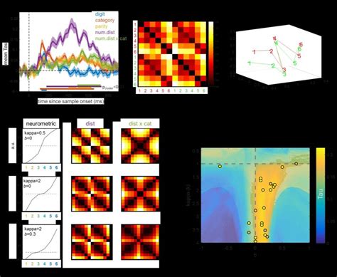 representational similarity analysis rsa a time course of