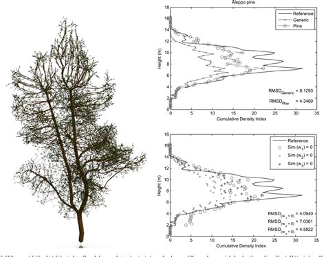 Figure 2 From An Architectural Model Of Trees To Estimate Forest