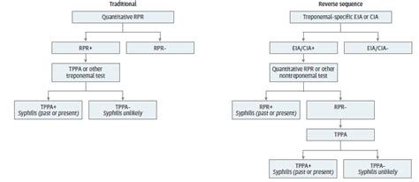 Evidence Summary Syphilis Infection In Pregnant Women Screening