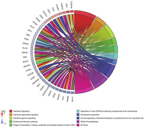 Reactome Pathway Enrichment Analysis Fdr