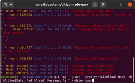how to use the git log graph command example