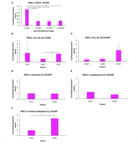 Spatio Temporal Quantification Of Hvpdil1 1 Transcripts In Developing