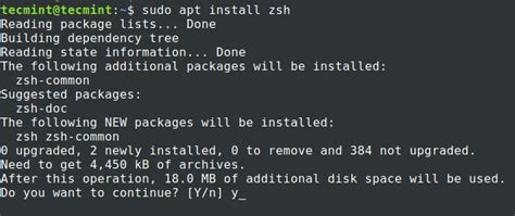 how to install and setup zsh in ubuntu 20 04