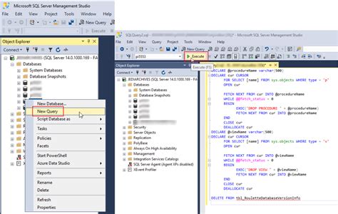 perform database maintenance delete stored procedures and views