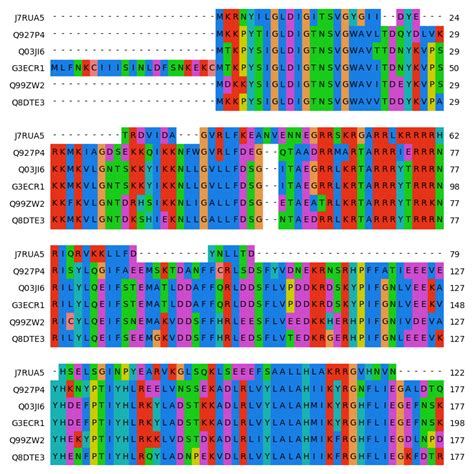 Multiple Sequence Alignment Of Cas9 Homologs — Biotite 0 41 0 Documentation