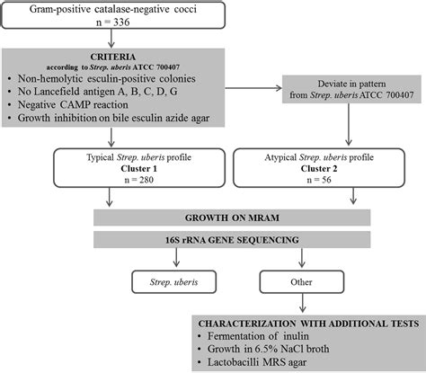 Diagnostic Accuracy Of A Standardized Scheme For Identification Of