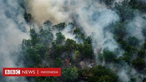 Karhutla Perda Kalimantan Tengah Mengizinkan Masyarakat Adat Membakar