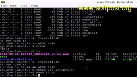 how to execute a shell script in mac os x terminal youtube