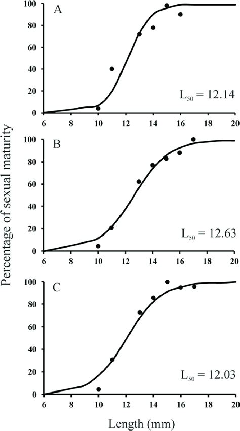 Minimum Size Of Sexual Maturity L 50 Of Donax Punctatostriatus In