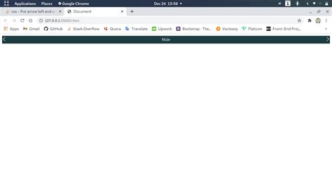 css put arrow left and arrow right in a html element
