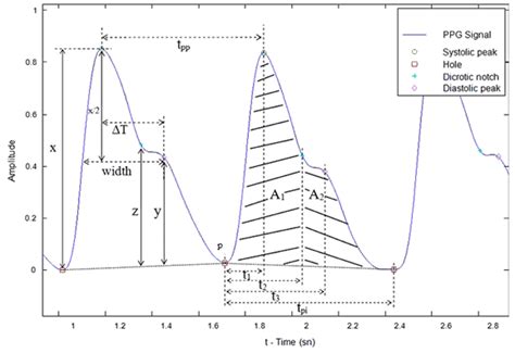 The Characteristic Features Of Ppg Signal In Time Domain [reşit