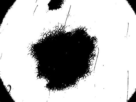 python how to discard the edges of an image using opencv stack