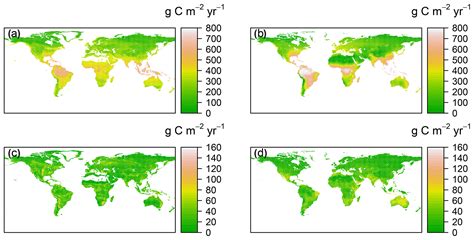 Essd Global Variability In Belowground Autotrophic Respiration In