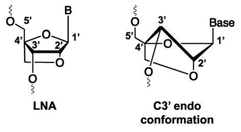 Ijms Free Full Text Chemical Modification Of Aptamers For Increased