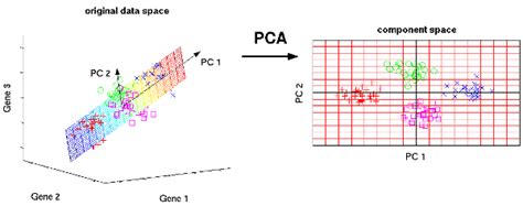 What Is Principal Component Analysis Pca Analytics Vidhya