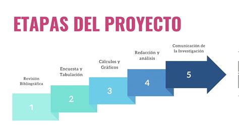 Cuales Son Las Fases De Un Proyecto Kulturaupice