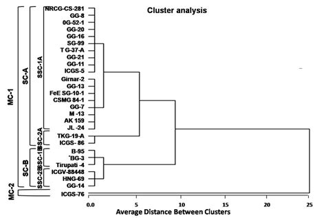 Dendrogram Representing Clustering Of 27 Groundnut Cultivars Based On