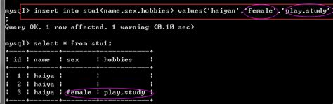 data type and integrity constraints for mysql databases