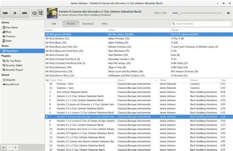 Установка rhythmbox в ubuntu linux mint debian