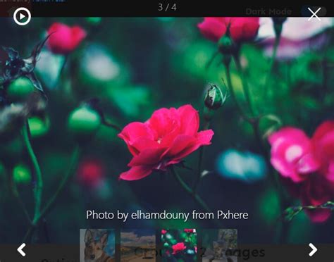advanced image gallery viewer in vanilla javascript