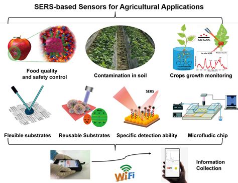 Review Of Sers Based Sensors For Agricultural Applications
