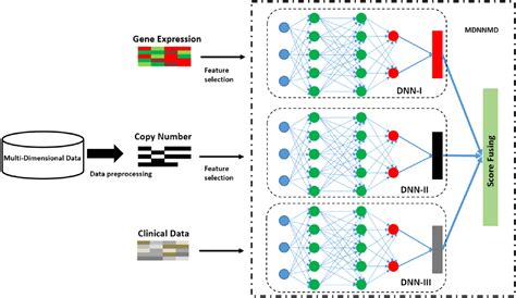 Figure 1 From A Multimodal Deep Neural Network For Human Breast Cancer