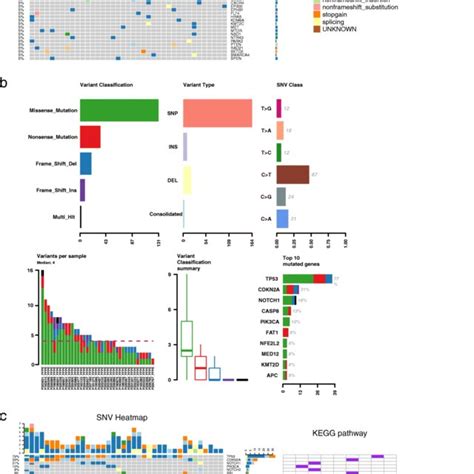 Genetic Mutations In Patients With Advanced Hnscc After Immunotherapy