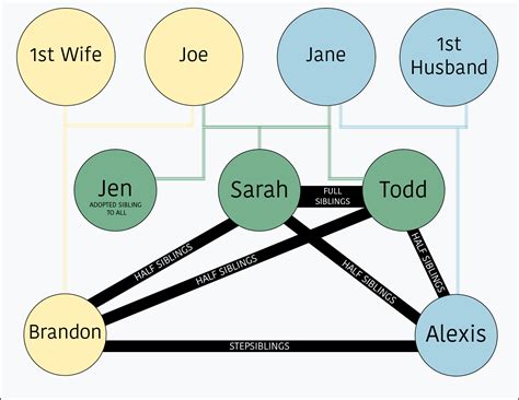 understanding stepsiblings vs half siblings a closer look