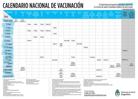 Calendario De Vacunación En Argentina ¿cuándo Son Y Cuáles Son
