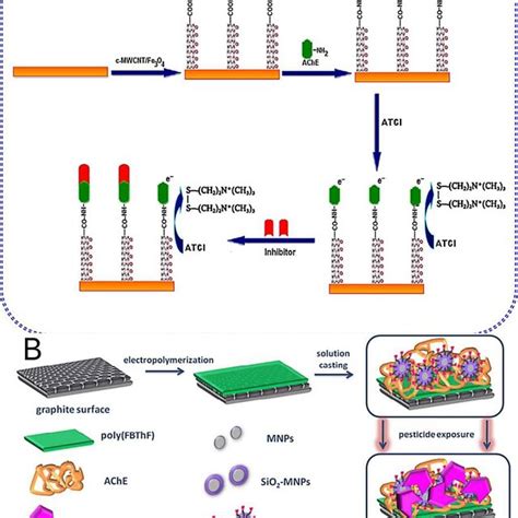 Schematic Illustration Of The Stepwise Amperometric Biosensor