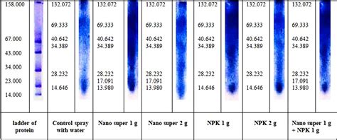Foliar Nano Fertilization Enhances Fruit Growth Maturity And