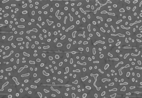 python how to fill contours touching the image border stack overflow