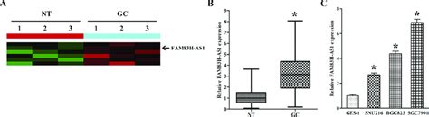 Lncrna Fam83h As1 Was High Expressed In Gc A Top Six Up Regulated