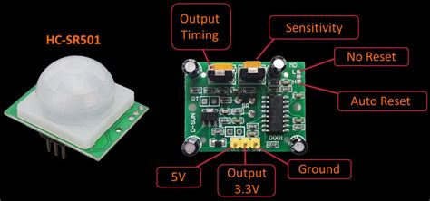 using a motion detector on raspberry pi rototron