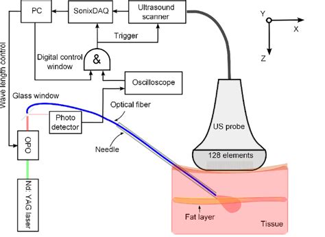 Schematic Of The Multispectral Photoacoustic Imaging System Download
