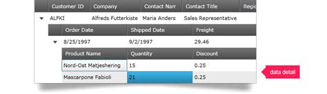wpf grid controls infragistics