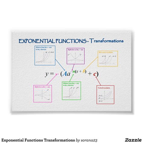 30 transformations of exponential functions worksheet