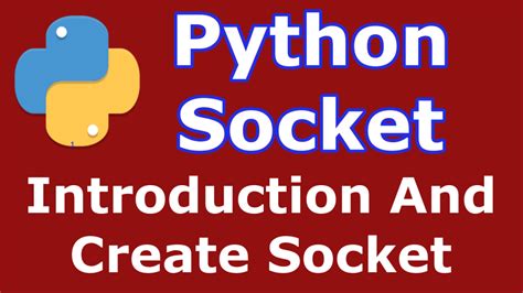 python socket programming archives codeloop